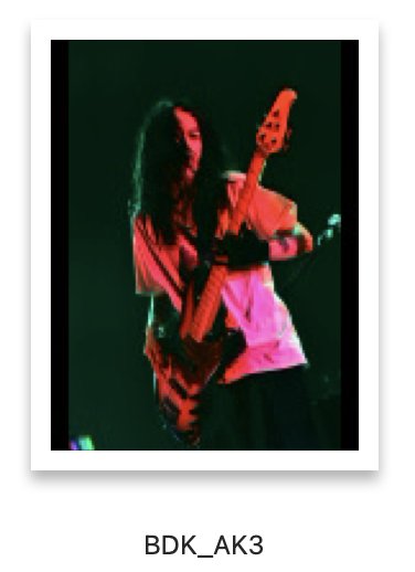 写真展オーダーページ